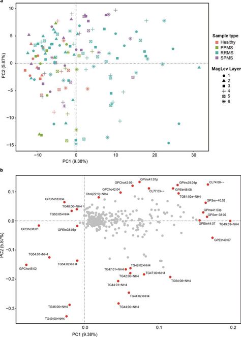 exploration of the lipidomics data of maglev layers for ms vs healthy