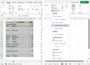 Different Methods To AutoFit Rows And Columns In Excel XL N CAD