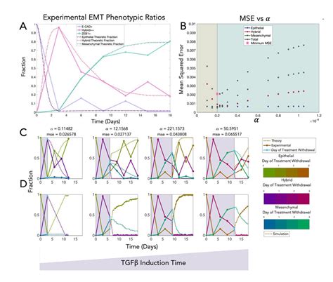 Stochastic Modeling Framework Applied To Time Course Emt Data A The Download Scientific