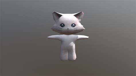 Zxc Кот Фото — Фото