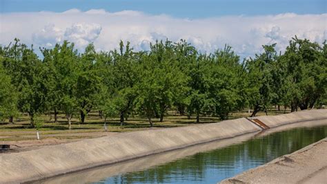 Sistem Irigasi Otomatis Dengan Sensor Hcsr 04