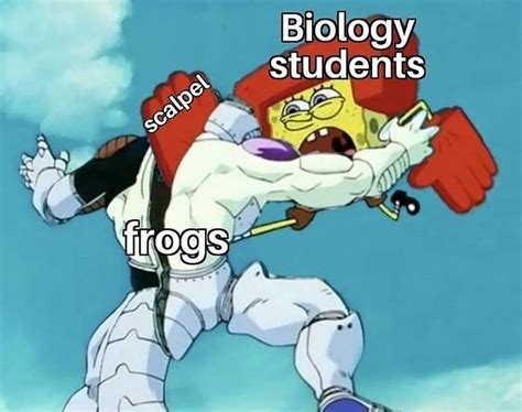 Frog Dissection Meme By Damusicgamer Memedroid