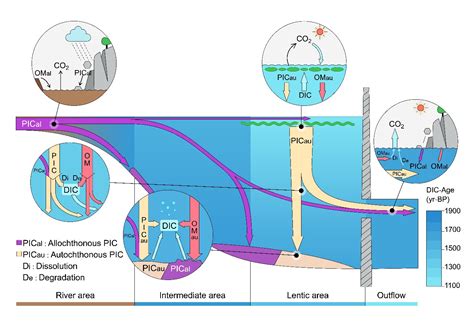 西南山地深水水库碳循环研究获得新进展 天津大学地球系统科学学院