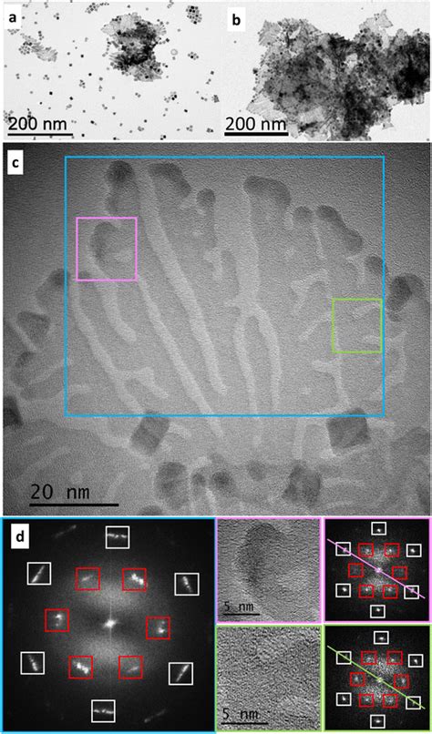 etching suppression as a means to pt dendritic ultrathin nanosheets by seeded growth nanoscale