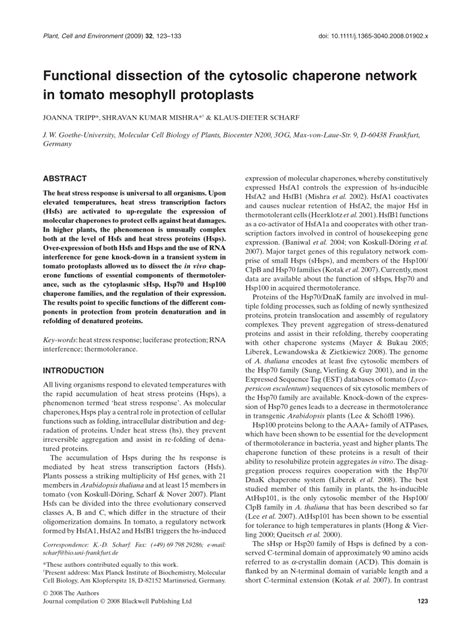 Pdf Functional Dissection Of The Cytosolic Chaperone Network In