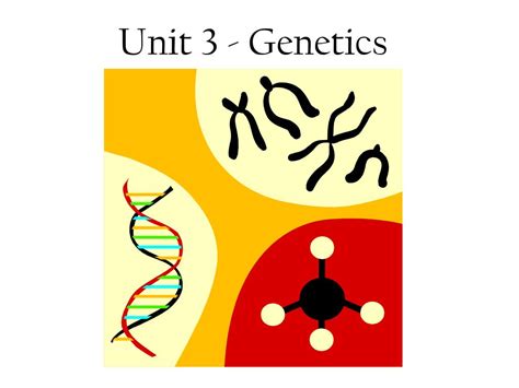 PPT Unit 3 Genetics PowerPoint Presentation Free Download ID 1853114