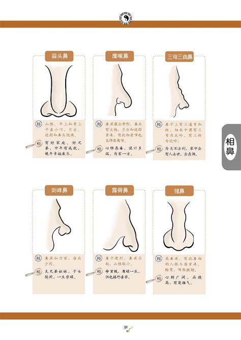 麻衣神相鼻子 图库 五毛网