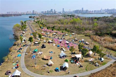 户外踏青乐享春光 湖北日报新闻客户端