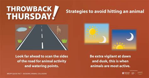 Nrspp Australia Avoiding Animal Collisions Tbt