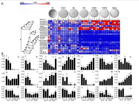 Gene Class Discovery A Clustering Of Genes According To Their