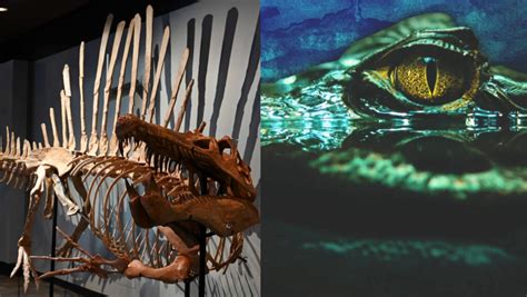 Exhibit Filled With Monsters Opening At Vancouver Aquarium