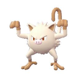 Pokémon Legends Z A Fighting Type Hyperspace Wild Zones