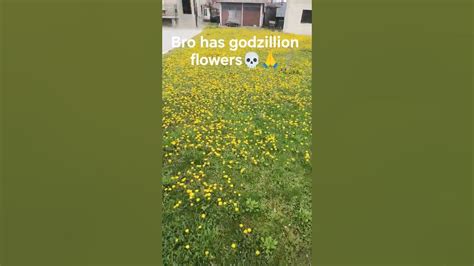 Rip Bro💀🙏 Youtube