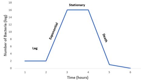 2 Ways To Calculate Bacterial Growth Rate In Excel Excelgraduate
