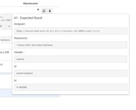 Xray 1174 Expected Results Dont Appear Entirely In Test Executions Steps Xblend Issue Tracker
