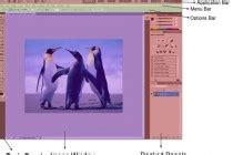 Photoshop Interface Explained Photoshop Tutorials Tutorial King