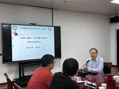 不结盟运动研究学术论坛第9期暨 非洲国家与不结盟运动研究学术工作坊顺利举行 湖北大学历史文化学院