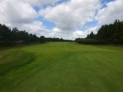 제주골프장 사이프러스cc 라운딩 후기 네이버 블로그