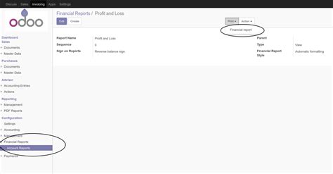 could not print financial reports from account reports menu · issue