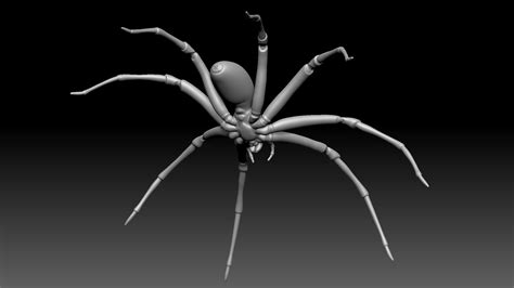 3d Brown Recluse Spider Model Turbosquid 2151452