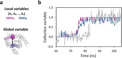 Collective Variables Highlight The Delay Between Local And Global