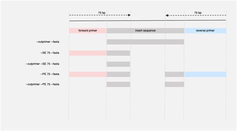 Mfeprimer 33 Mfeprimer