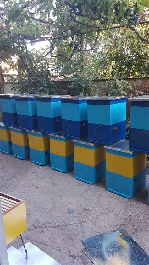 თერმული სკები თერმული სკები Added A New Photo