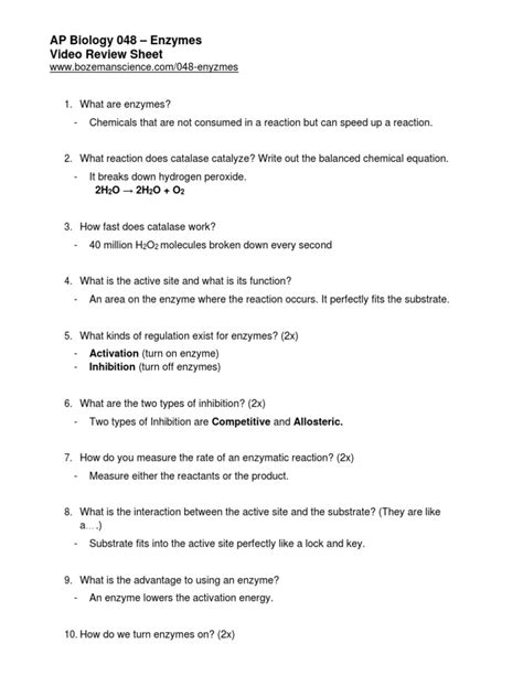 Ap Bio 048 Enzymes Worksheet Wl Pdf Enzyme Active Site