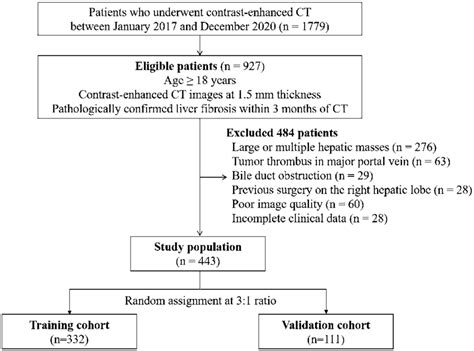Patient Selection Flow Chart Ct Computed Tomography Download Scientific Diagram