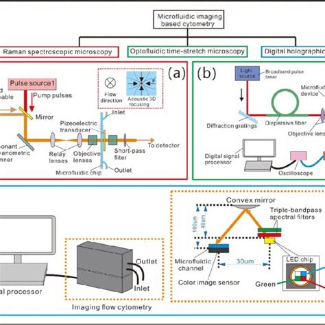 Schematics Of The Microfluidic Imaging Based Flow Cytometry A Download Scientific Diagram