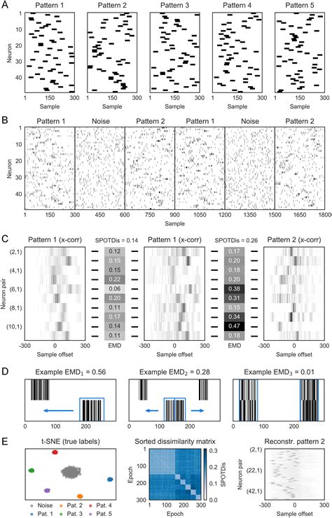 Review On Precise Heterosynaptic Spiking Motifs In Neurobiological And Neuromorphic Data
