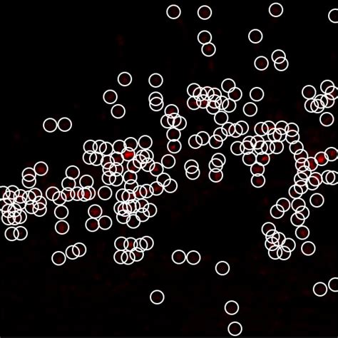 Fileexample Limit Select N Boofcv