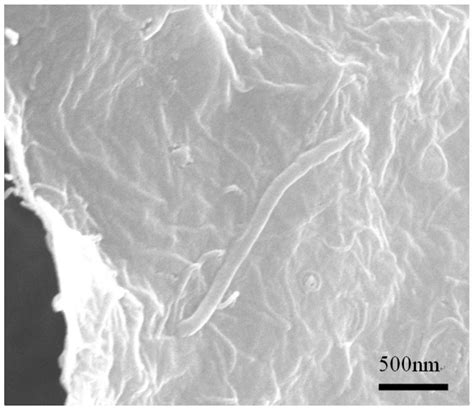 Preparation Method Of Graphene Carbon Nano Tube Composite Aerogel With Rib Sandwiching Structure