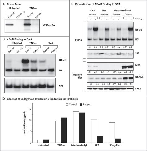 Deficiency Of Innate And Acquired Immunity Caused By An Ikbkb Mutation Nejm