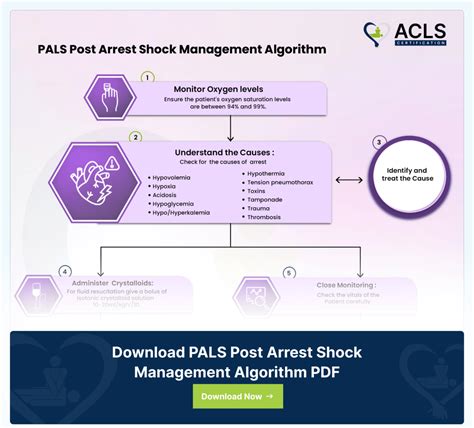 Pals Cardiac Arrest Algorithm Pediatric Resuscitation Protocol Aclsnow