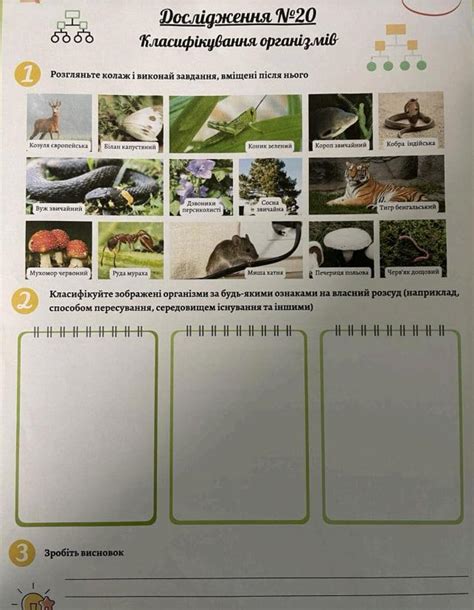 На фото природа Школьные Знания Com