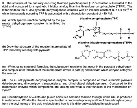 Solved 3 The Structure Of The Naturally Occurring Thiamine