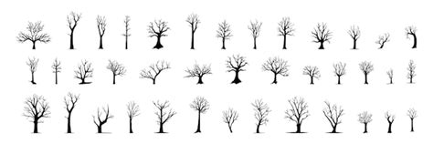 Vectores E Ilustraciones De Naked Trees Para Descargar Gratis Freepik