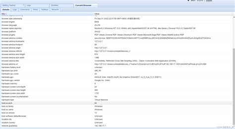 在kali环境下安装beef Xss靶场搭建