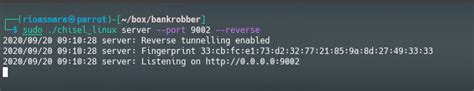 Chisel Reverse Sock Expose Local Service Cyber Security Architect