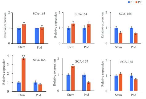 Mapping And Detection Of Genes Related To Trichome Development In Black Gram Vigna Mungo L