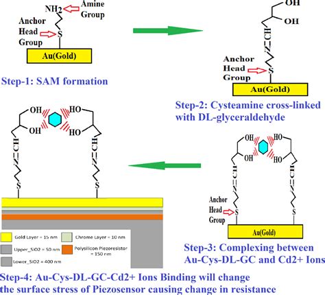 Bjnano Bjnano Volume 11 2020