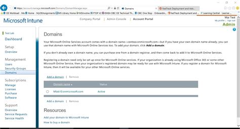 Add Custom Domain For Intune Mai Alis Technical Blog