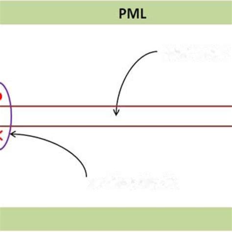 schematic diagram of the c fdtd computational domain tm spp on the