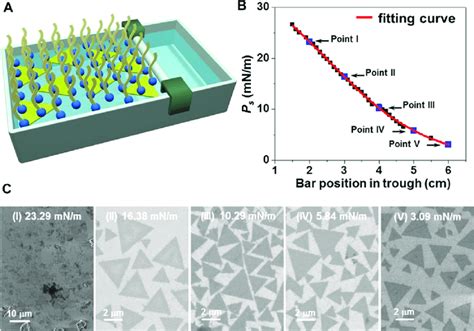 Nanosheet Growth Under Controlled Surfactant Packing Density A Download Scientific Diagram