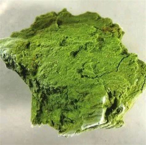 Geology Geeks On Linkedin Smectite Clay Minerals Geology