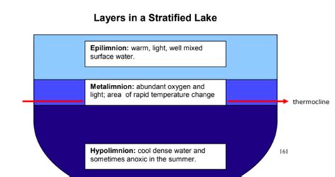 Lim Intro Part 1 And 2 Flashcards Quizlet