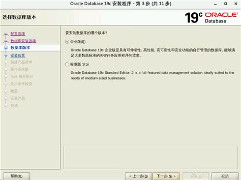 linux安装oracle19c完整版 图形 静默安装 oracle19c镜像 csdn博客