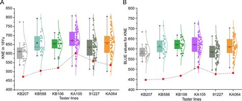 Comparison Analysis Of Kernel Number Per Ear Kne For Tester Lines And