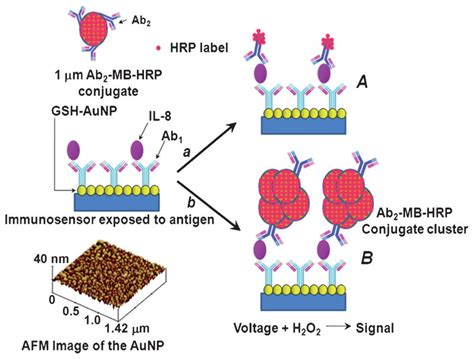 Nanostructured Immunosensor For Attomolar Detection Of Cancer Biomarker Interleukin 8 Using